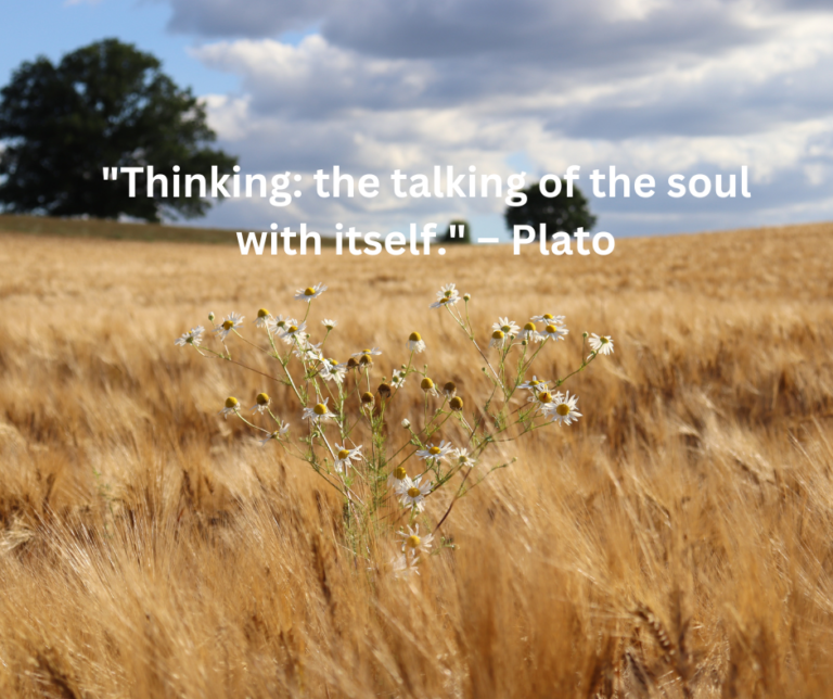 Plato Quotes: Timeless Life Lessons on Wisdom, Love and Justice for ...